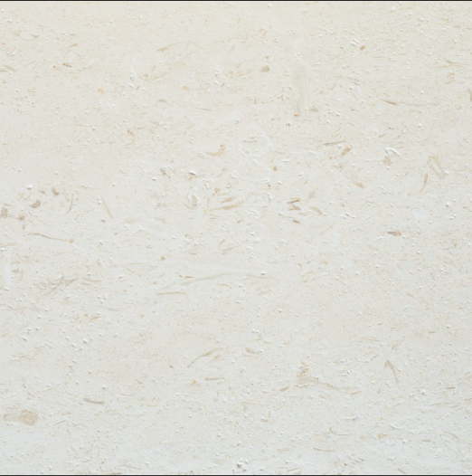 LIMESTONE COLLECTION - TILE - SHELL REEF SANDBLASTED TILES | GC Supply